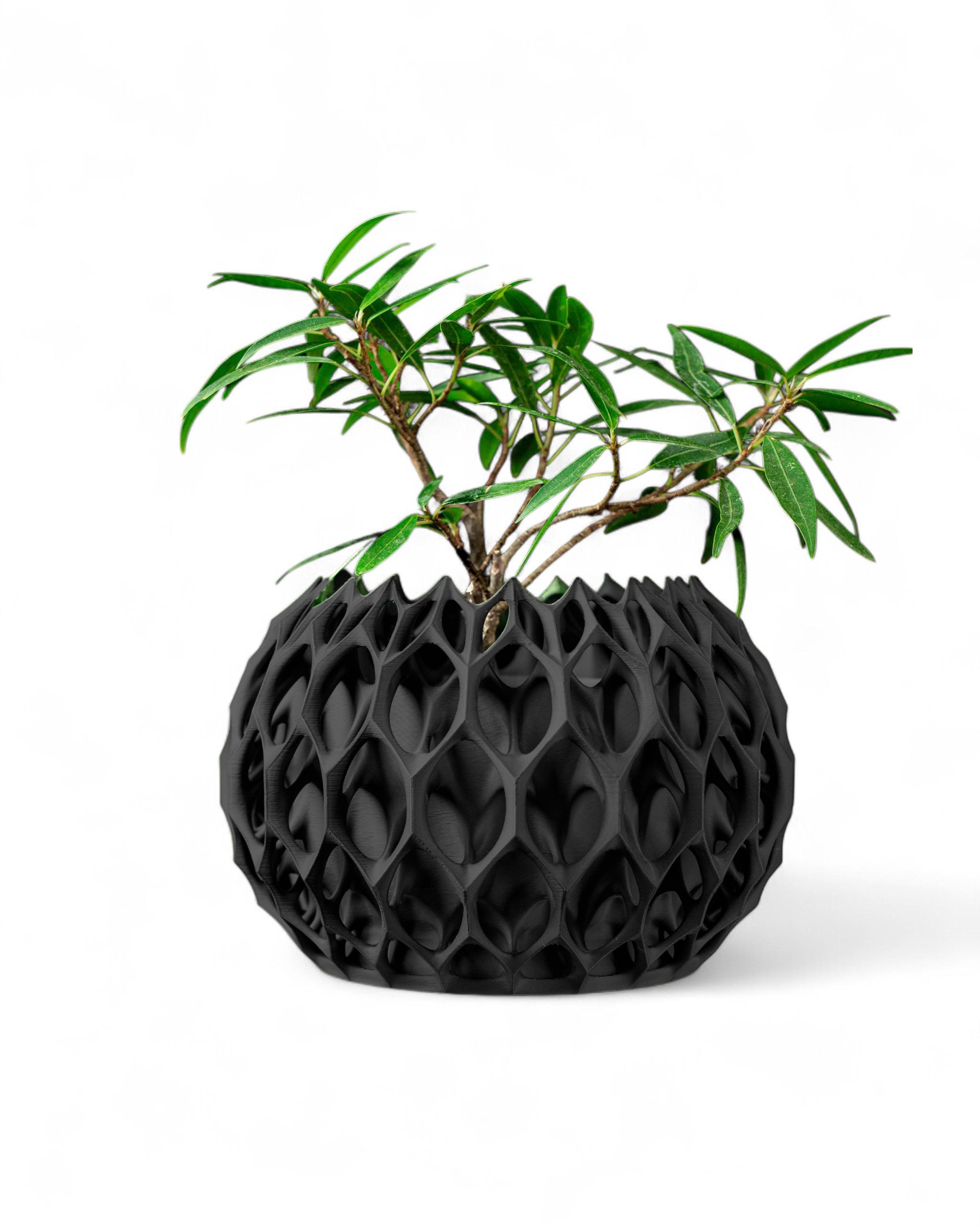 Obsidian Hive Planter, Modern Geometric Pot, Drainage Hole – Sci-fi ...