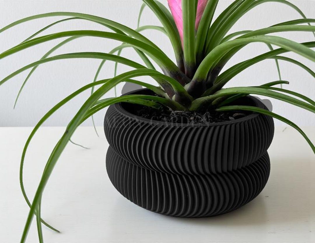 Echo Coil Modern Planter, Decorative Flowerpot, Indoor, Outdoor ...