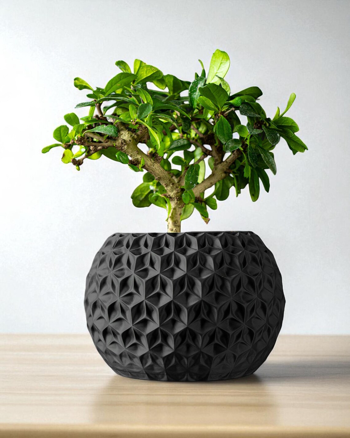Trinity Sphere Planter, Sculptural Indoor Plant Pot for Orchids ...