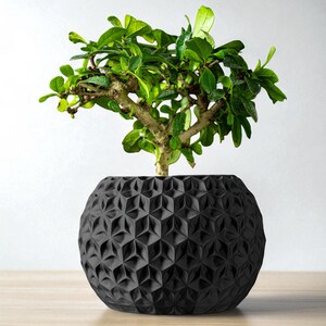 Trinity Sphere Planter, Sculptural Indoor Plant Pot for Orchids ...