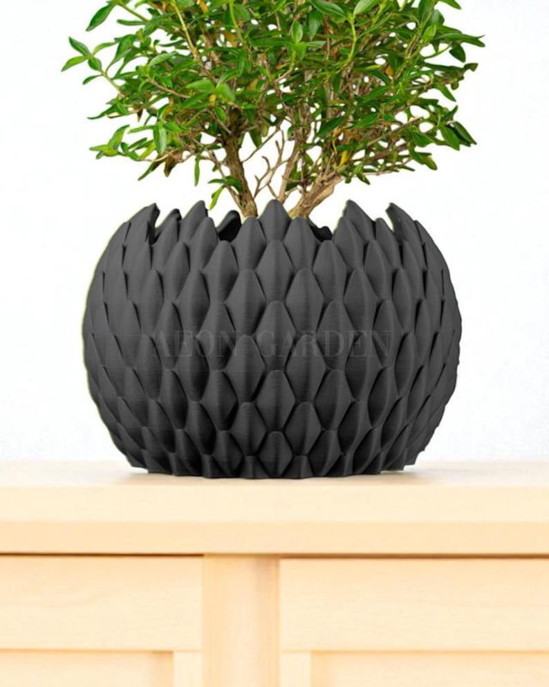 Eclipse Shell Modern Planter, Dragon Scale Pot, Indoor Plants, Succulents, Home Decor ...