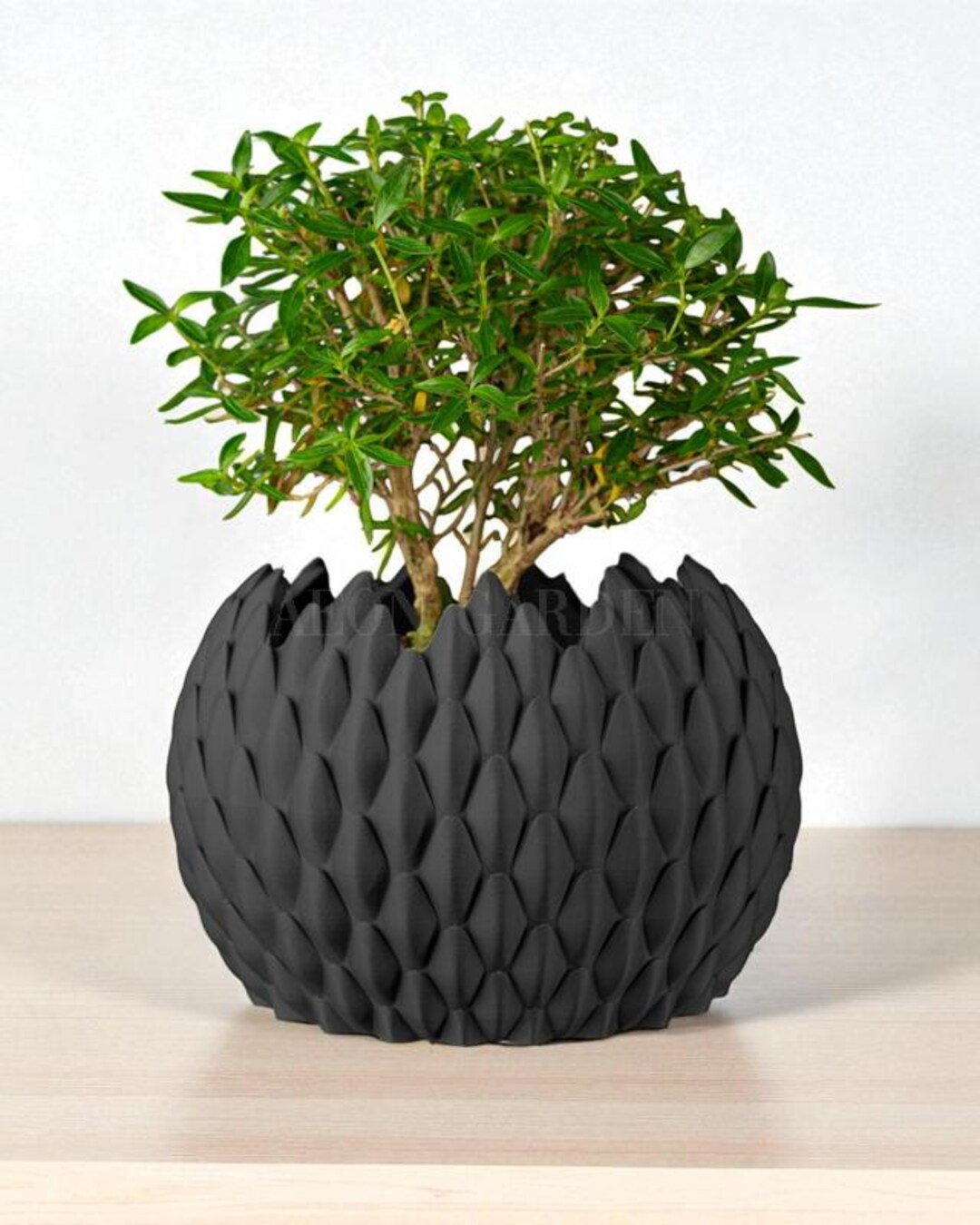 Eclipse Shell Modern Planter, Dragon Scale Pot, Indoor Plants ...