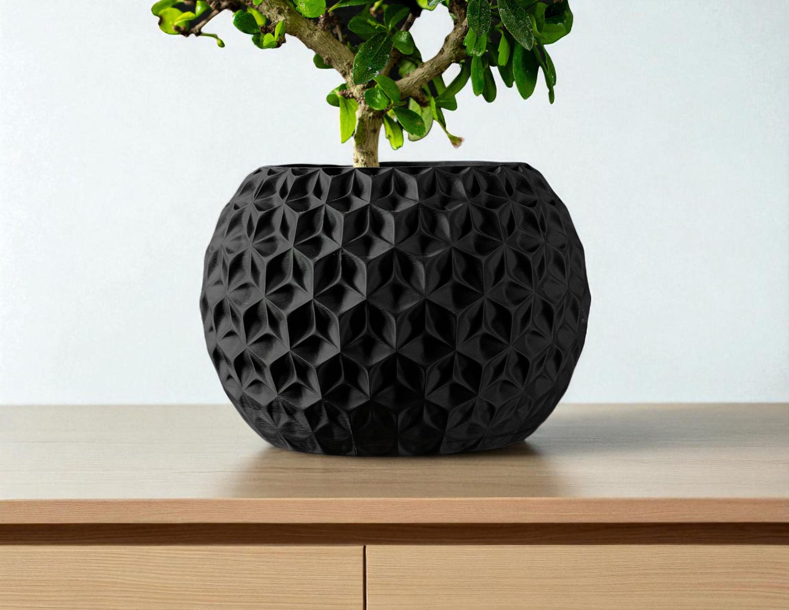 Trinity Sphere Planter, Sculptural Indoor Plant Pot for Orchids ...