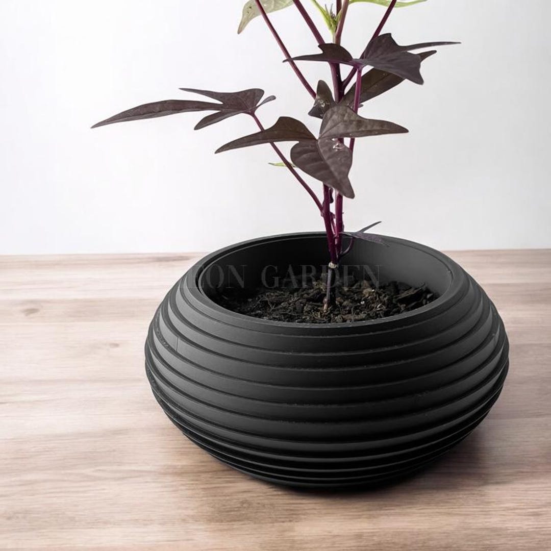 Orbit Modern Planter, Compact Flowerpot, Decorative, Minimalist ...