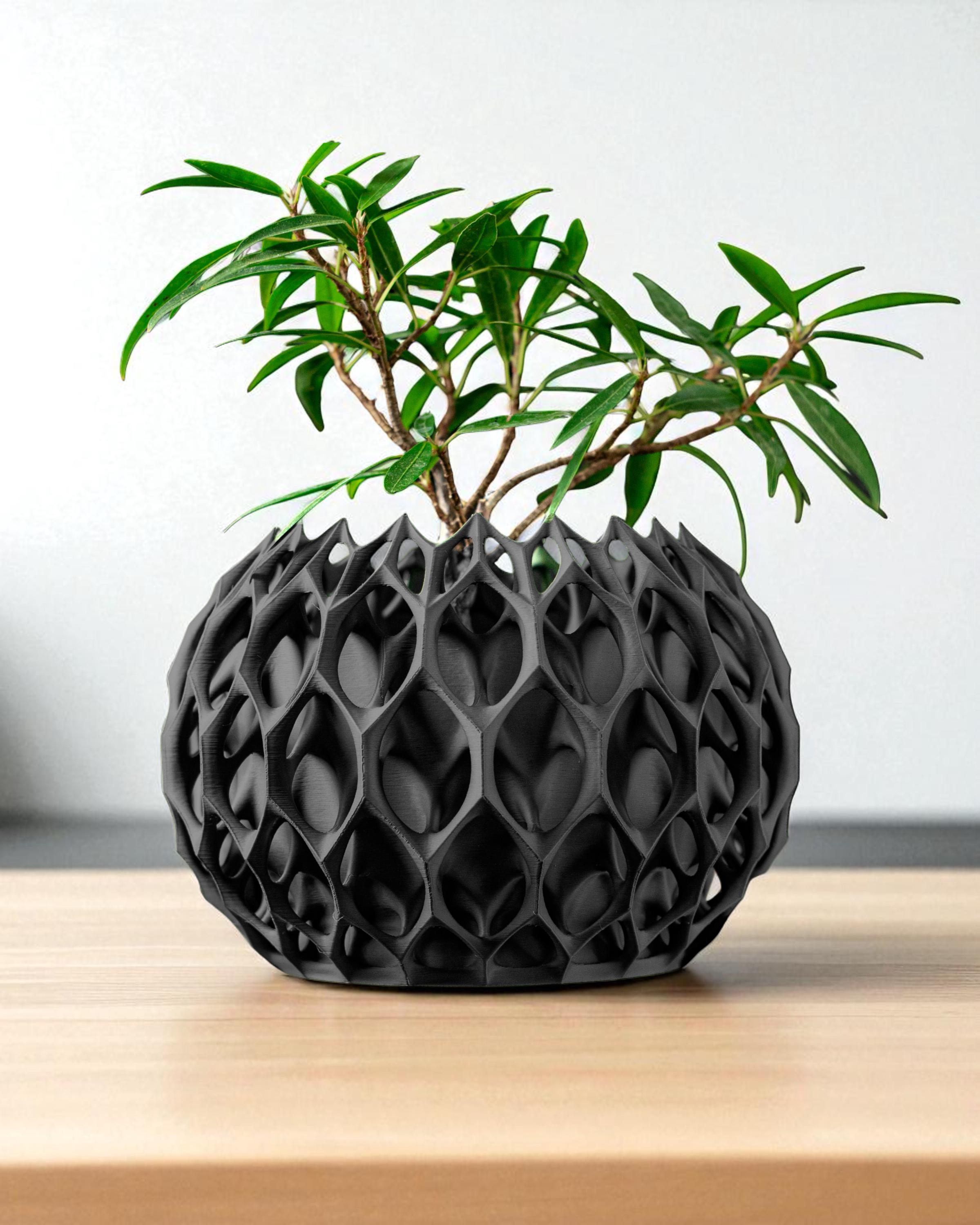 Obsidian Hive Planter, Modern Geometric Pot, Drainage Hole – Sci-fi ...