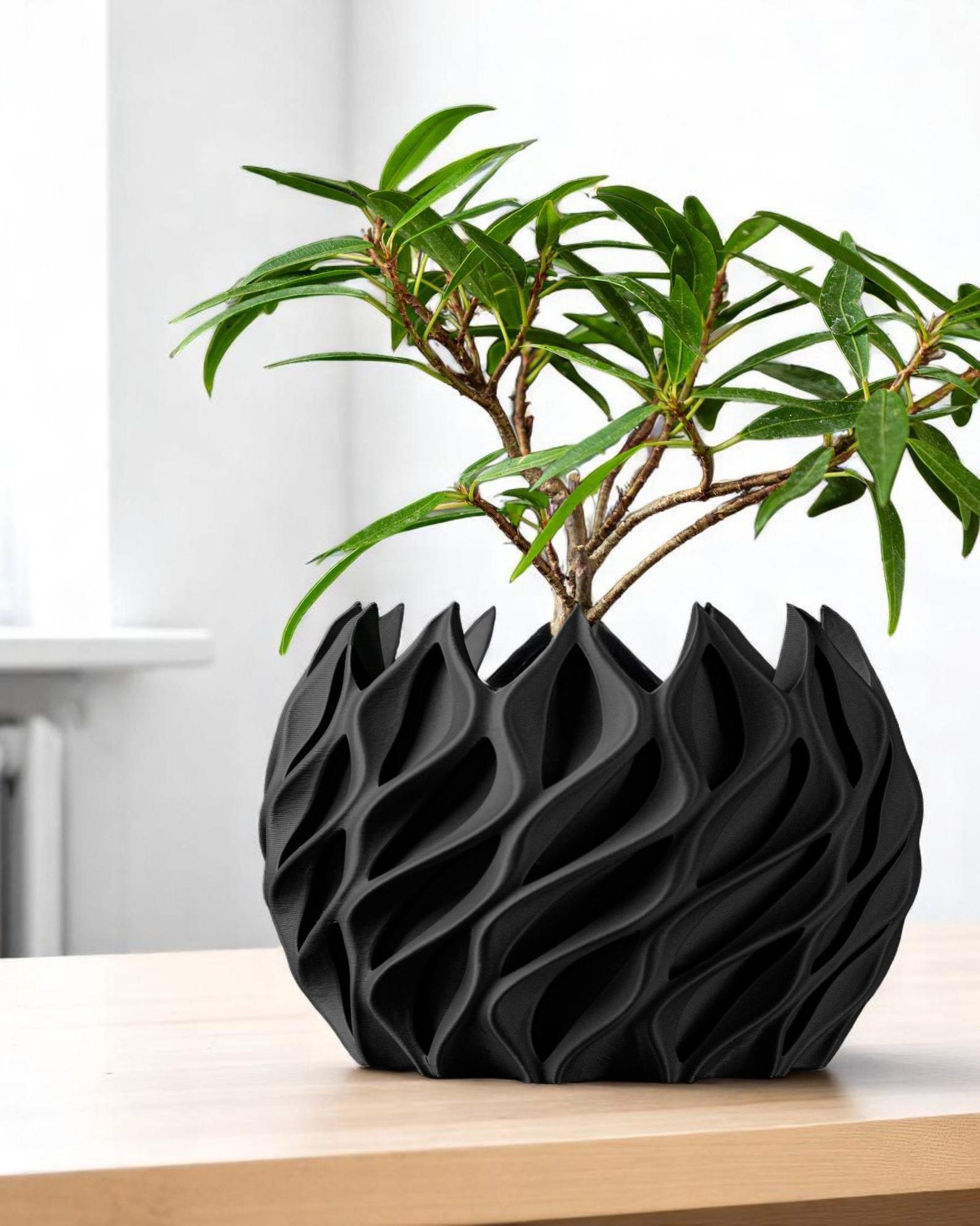 Obsidian Crown Planter, Sculptural Indoor Plant Pot for Orchids ...