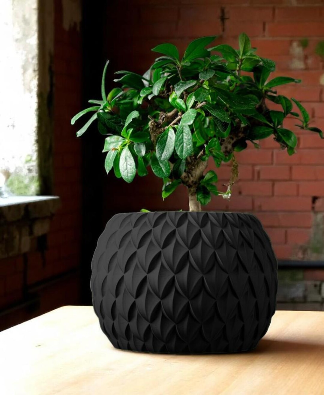 Obsidian Dragon Egg Planter, Modern Textured Flowerpot, Indoor Plants ...