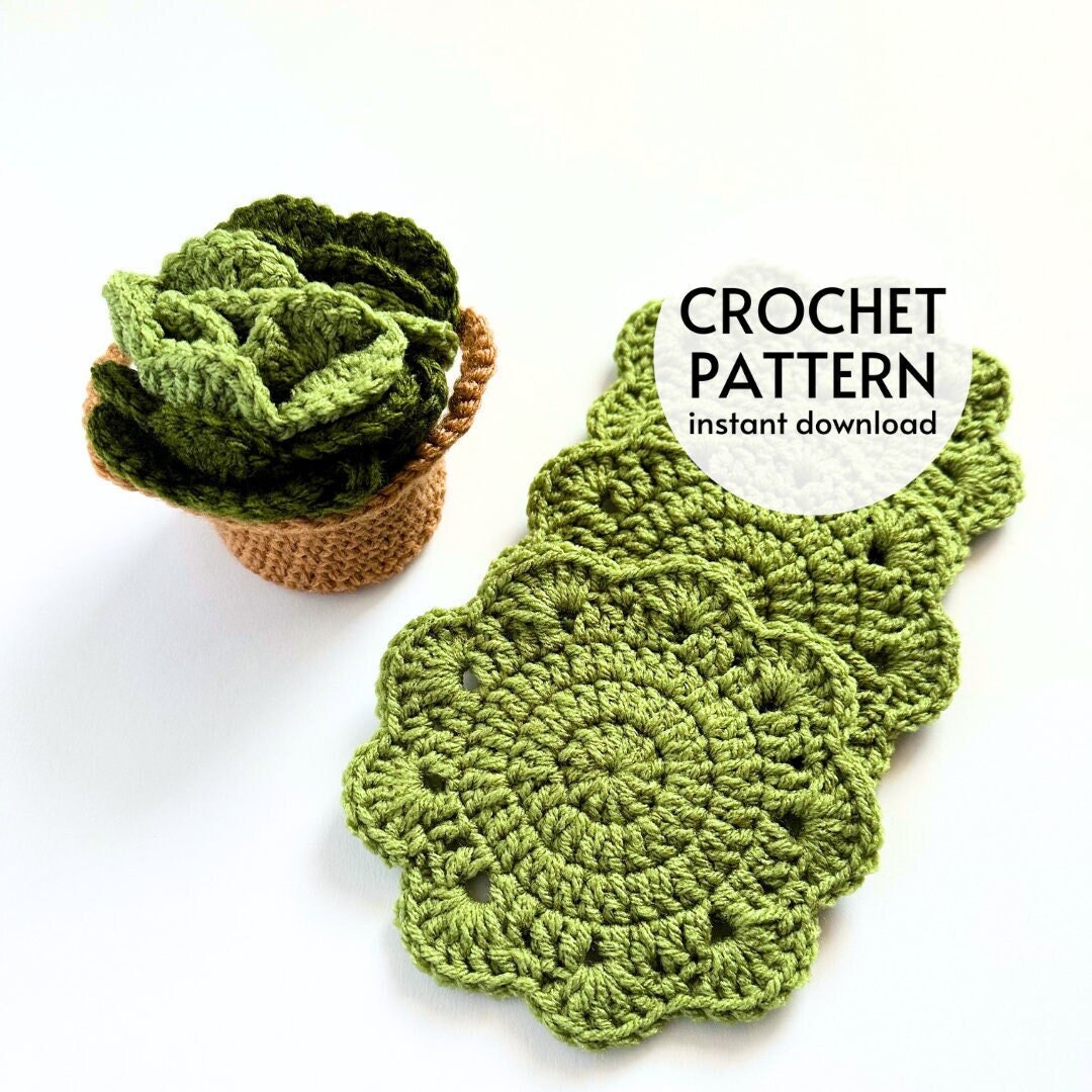 CROCHET PATTERN Succulent Plant Pot Coaster Crochet Pattern Flower Leaf ...