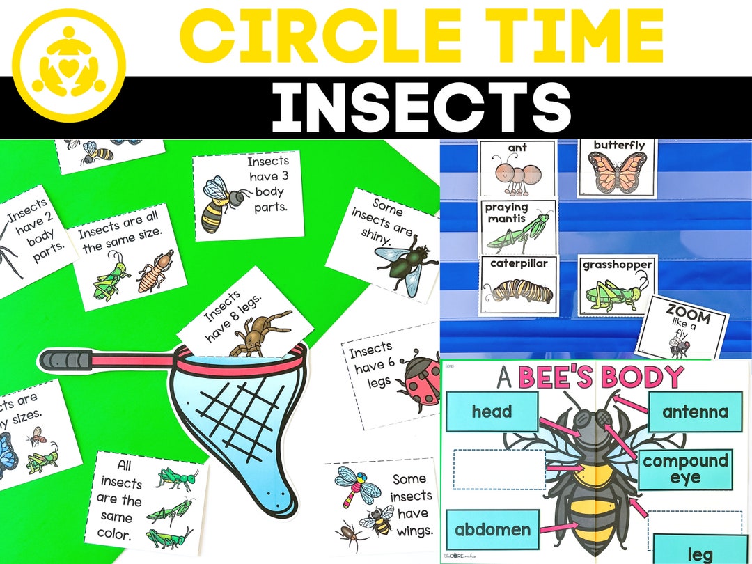 Insects Circle Time Activities for Preschool - Etsy