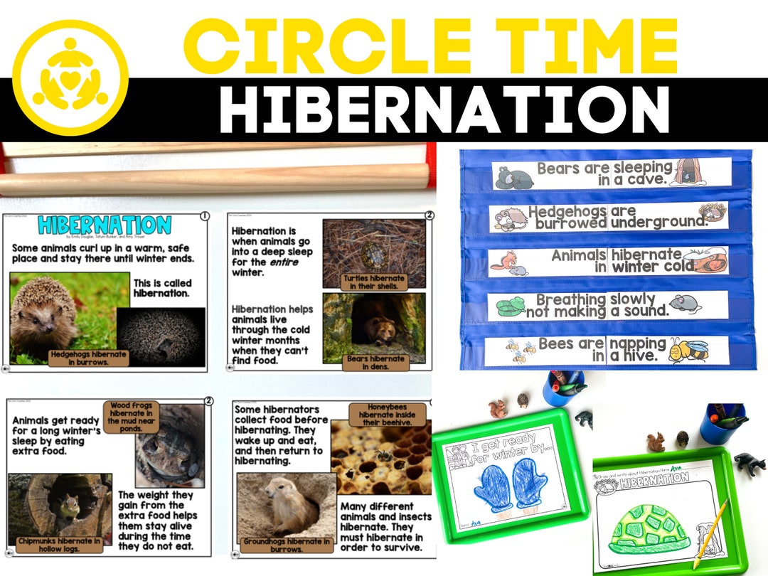 Hibernation Circle Time Activities for Preschool - Etsy