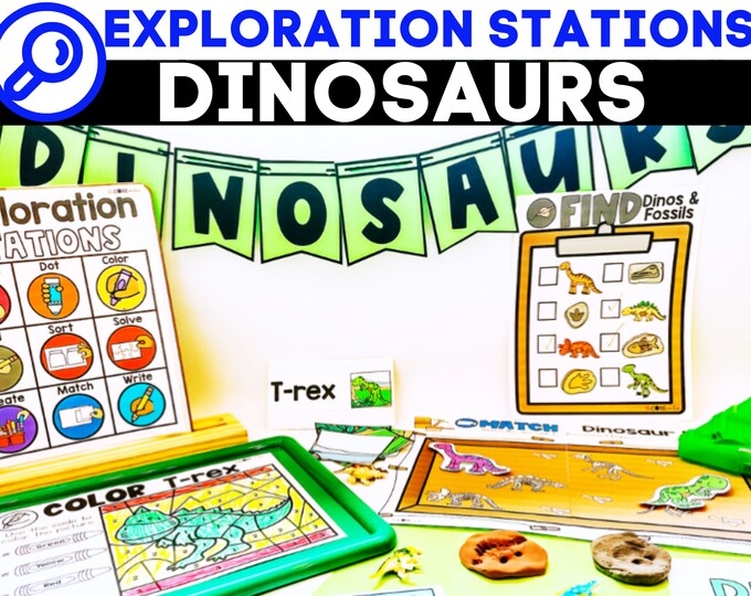 Dinosaur Fossils Magnifying Match Activity, Dinosaur Theme Montessori ...