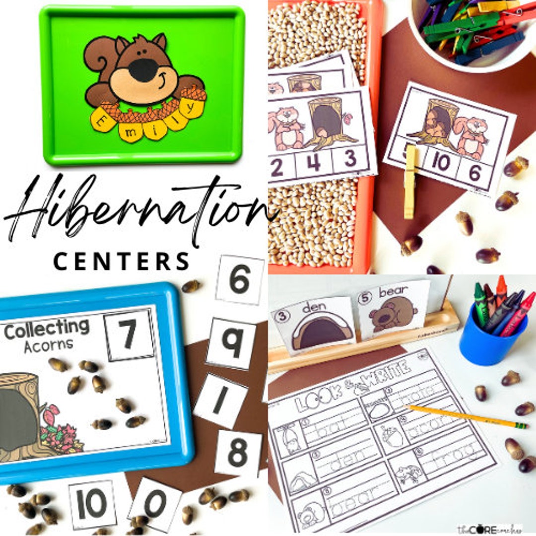 Hibernation Math and Literacy Centers for Preschool - Etsy