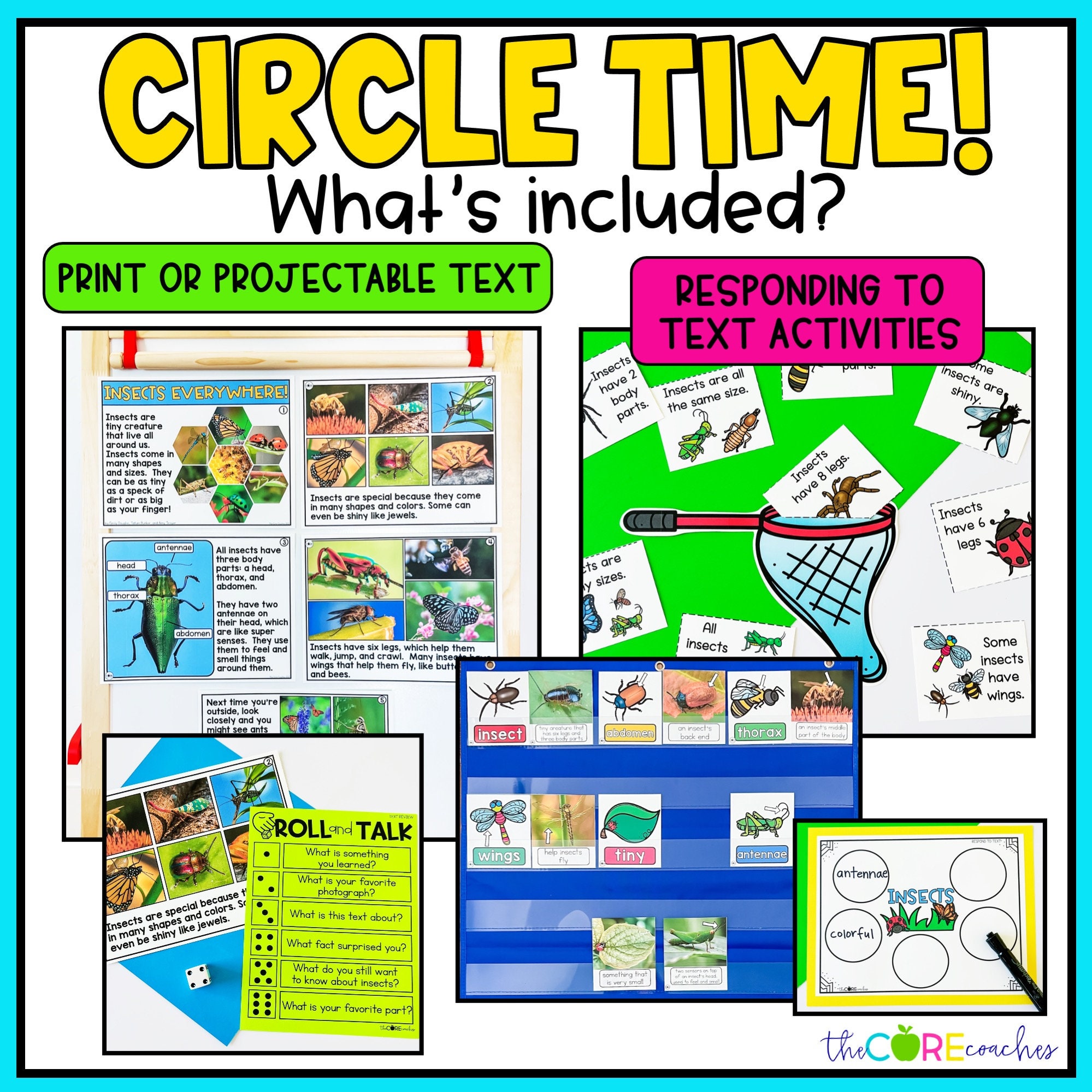 Insects Circle Time Activities for Preschool - Etsy