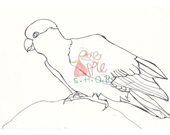 Galah Cartoon - Etsy Australia