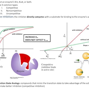 Ultimate Biochemistry Review and Study Guide for the MCAT and College ...