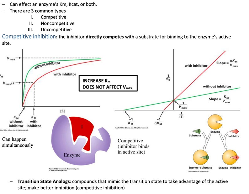 Ultimate Biochemistry Review and Study Guide for the MCAT and College ...