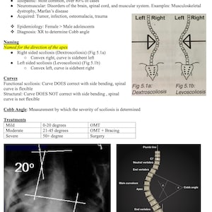 OMM Rapid Review for COMLEX Level 1, 2 & 3 | High-yield Osteopathic ...