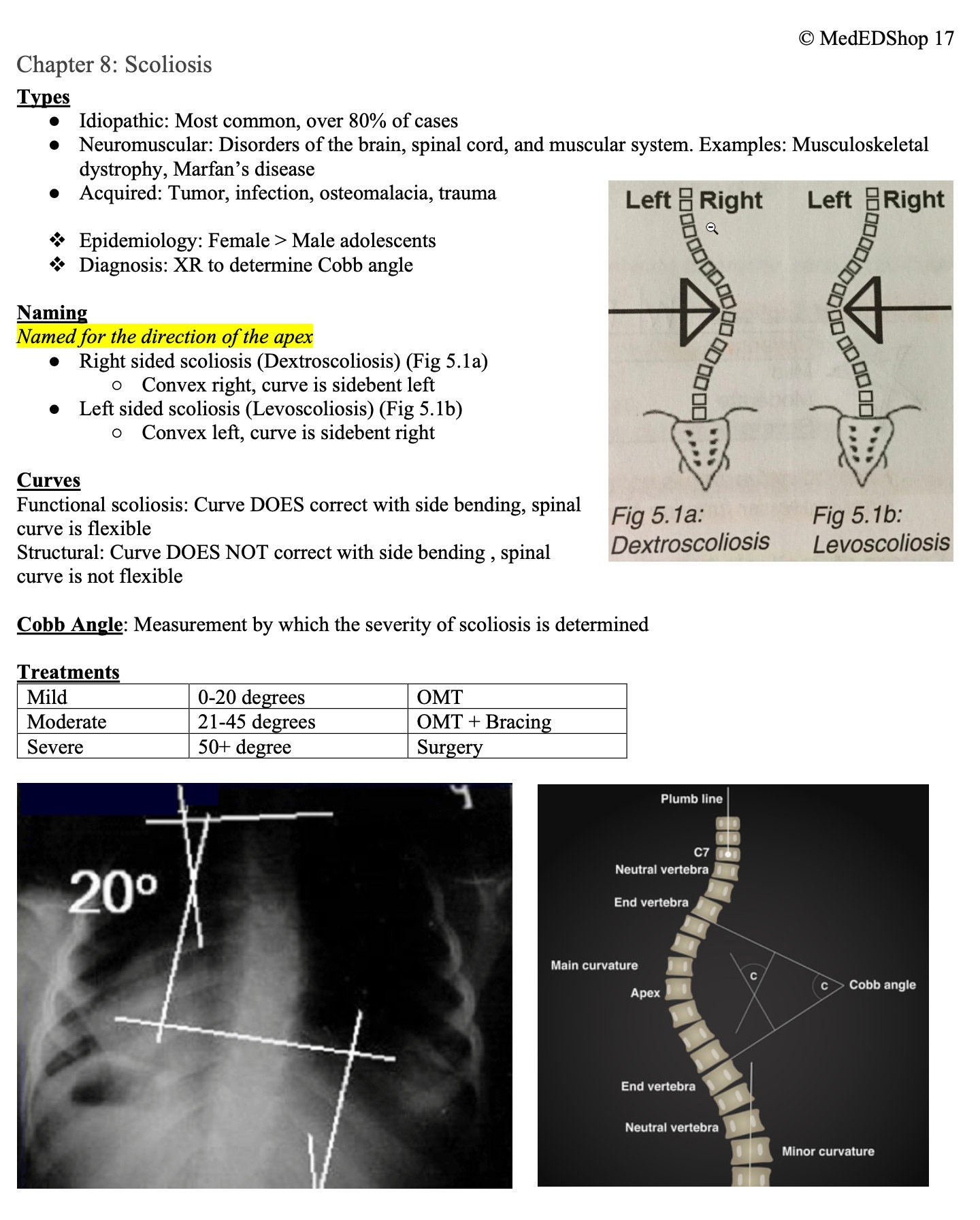 High Yield Rapid Review of OMM for COMAT/COMLEX 1-3/medical School ...