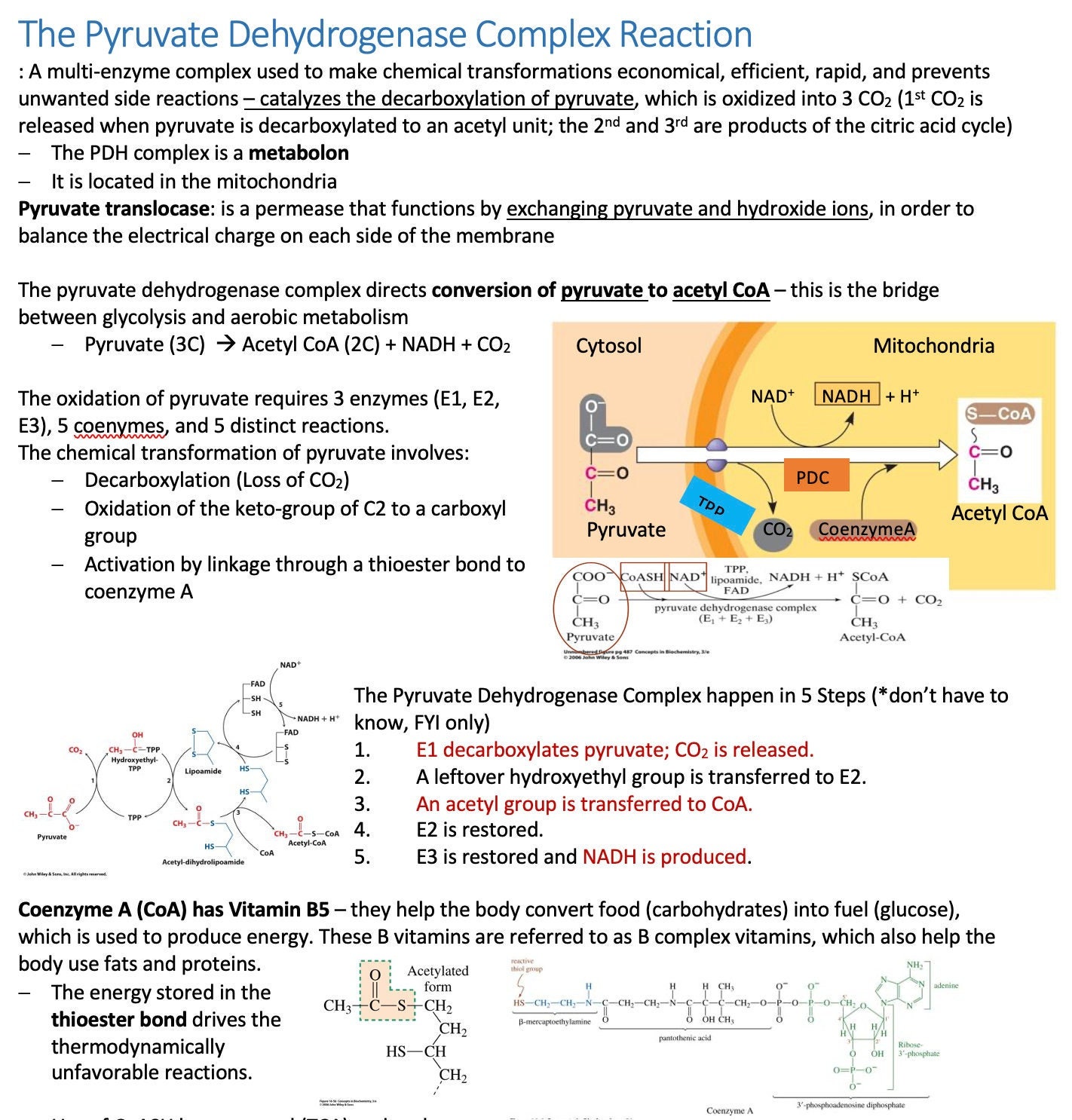 Ultimate Biochemistry Review and Study Guide for the MCAT and College ...