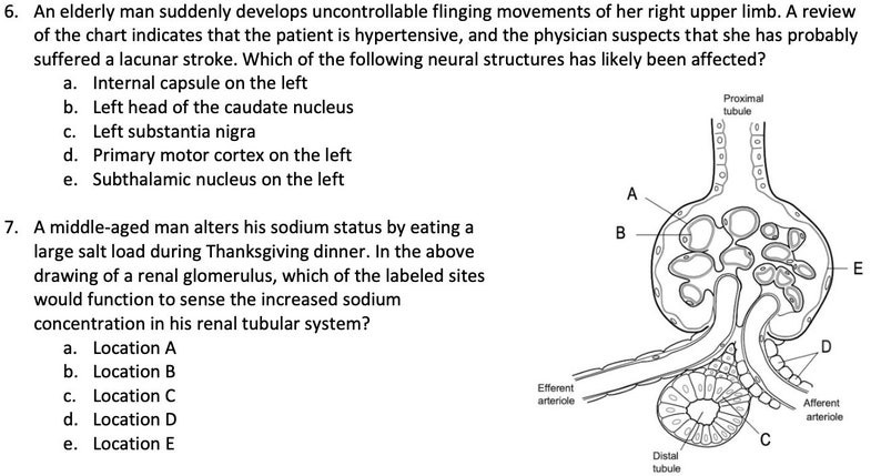 50 Anatomy Questions and Answers -- Assessment for USMLE Step 1 ...