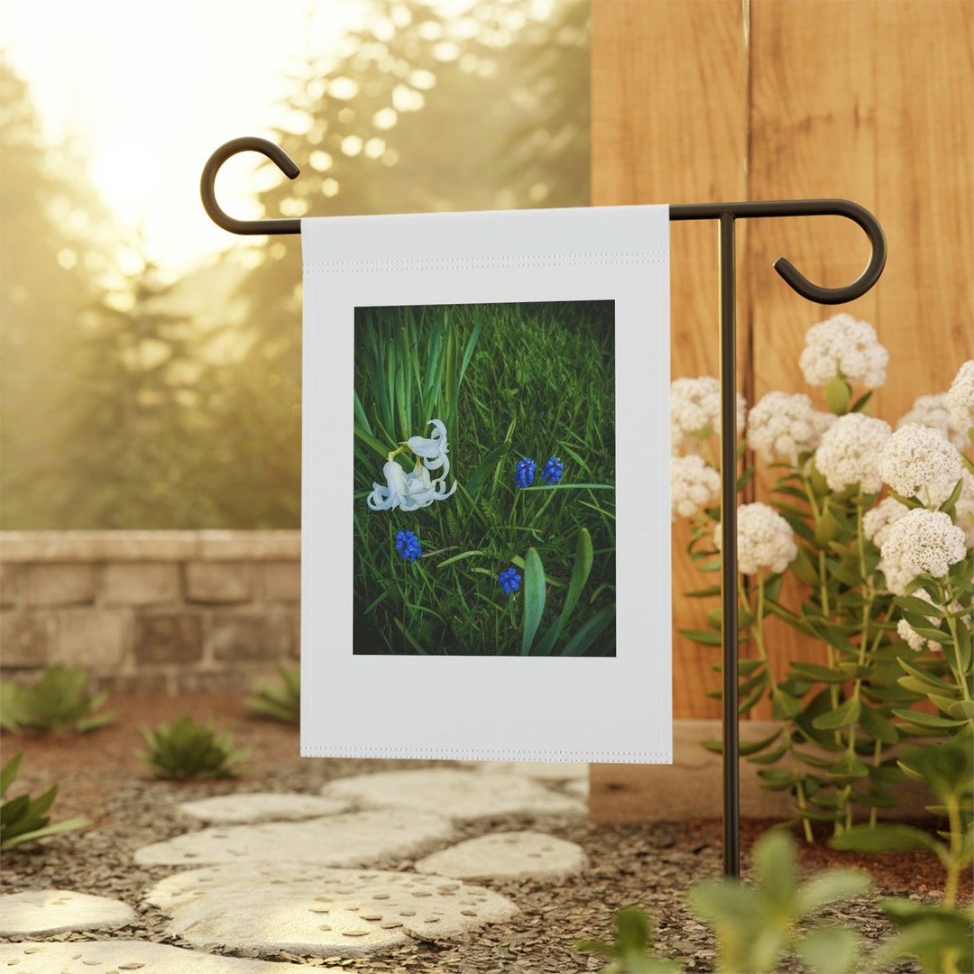 White Hyacinth and Blue Grape Hyacinth Garden Flower Garden & House ...