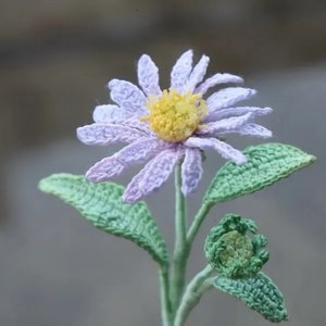 Micro Crochet Brooch, Indian Aster Flower Brooch, Floral Brooch, Gift ...