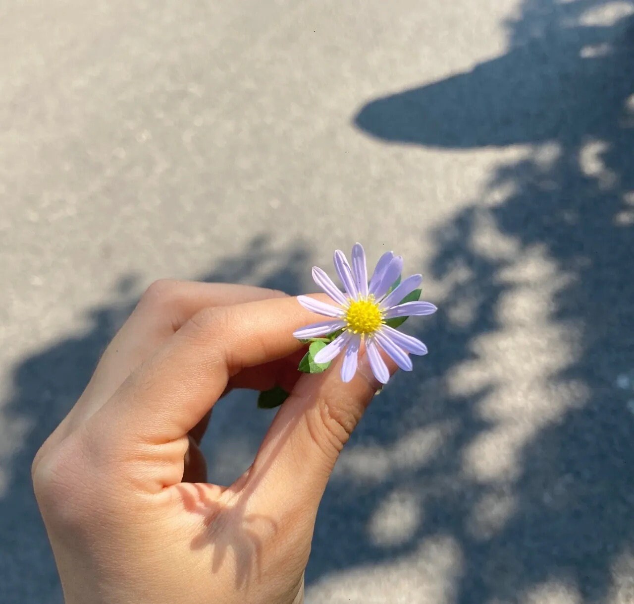 Micro Crochet Brooch, Indian Aster Flower Brooch, Floral Brooch, Gift ...