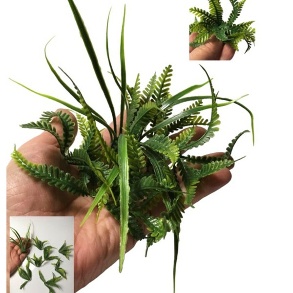 Miniature Fern - Etsy
