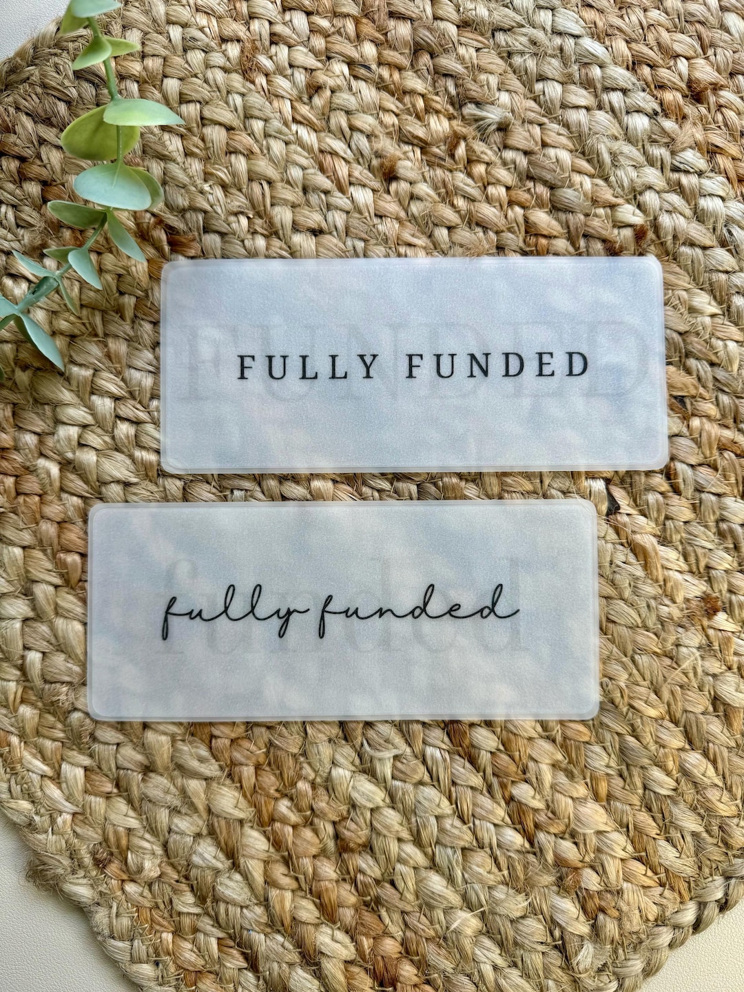 Laminated Fully Funded Vellum Cash Placeholder: Minimalist Budgeting ...