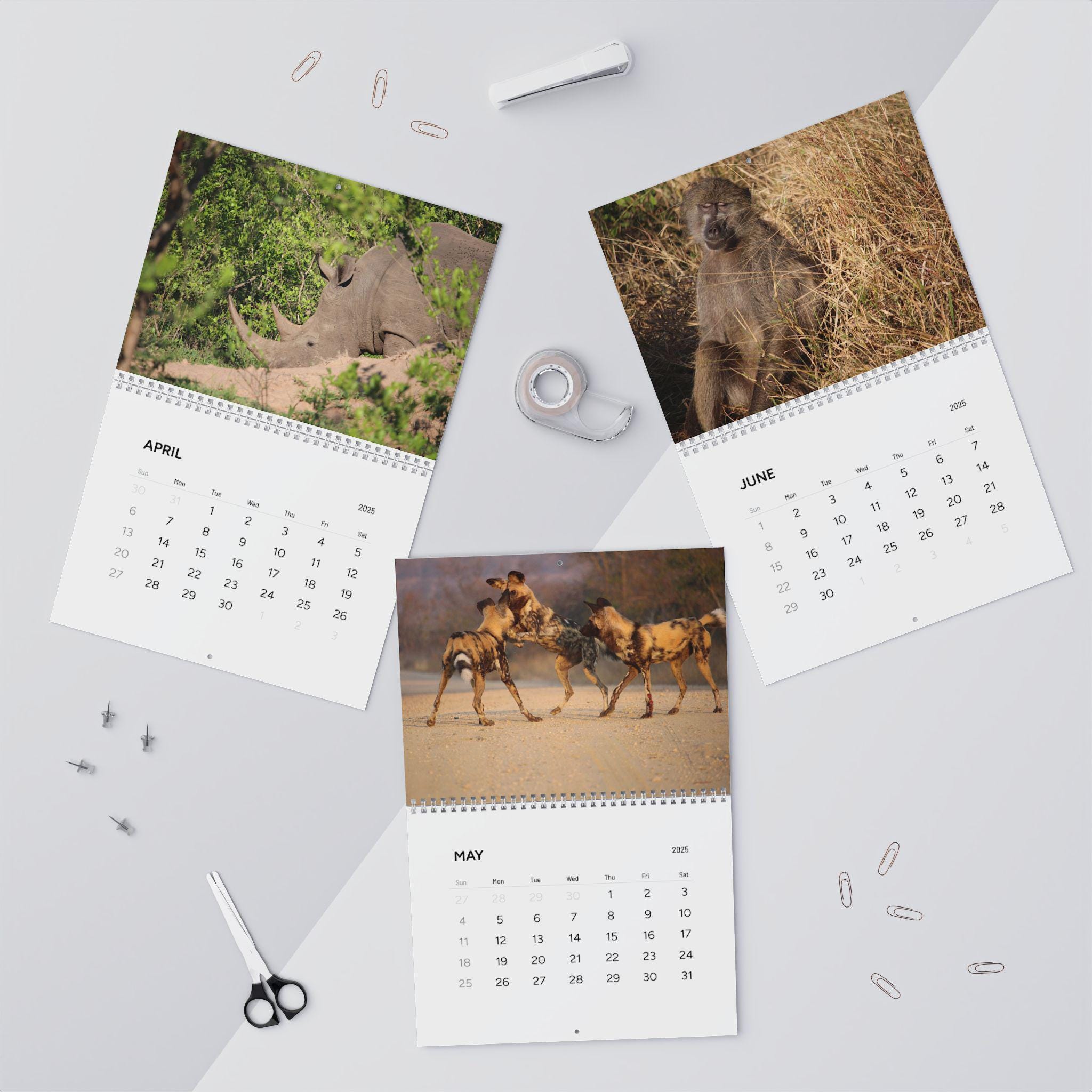 2025 Calendar, Wall Calendars, Nature Calendar, Wildlife Calendar ...
