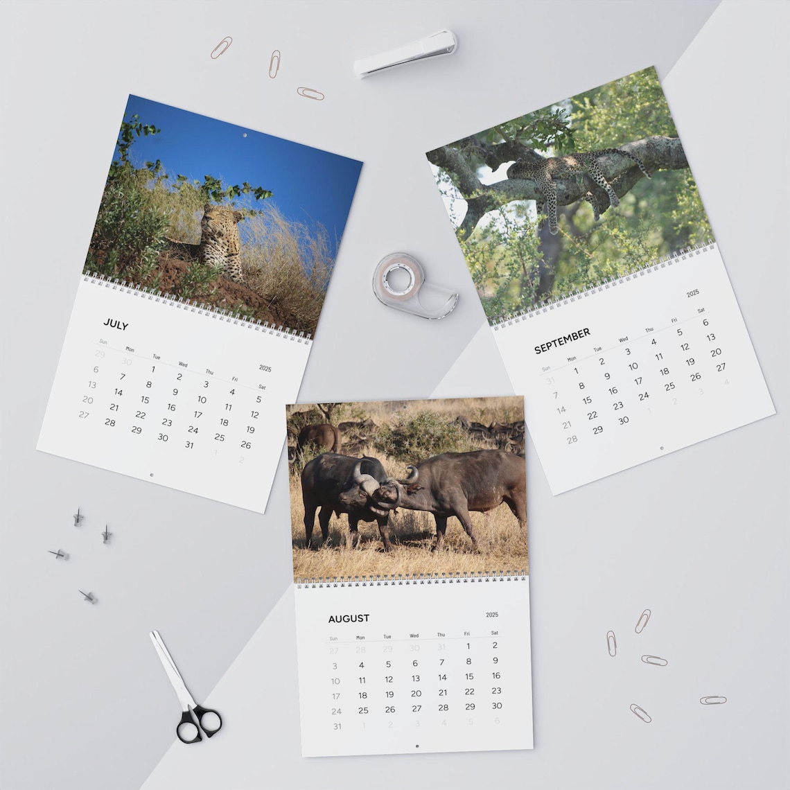 2025 Calendar, Wall Calendars, Nature Calendar, Wildlife Calendar ...