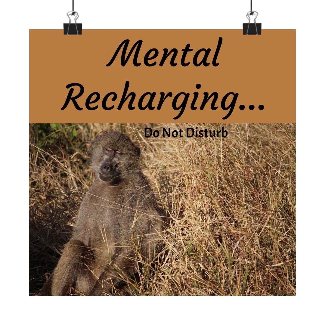 Vertical Poster, Mental Recharging Do Not Disturb, Baboon Nap, Matte ...