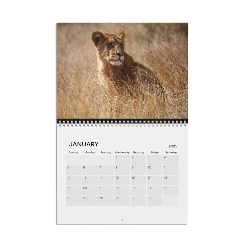 2025 Calendar, Wall Calendars, Nature Calendar, Wildlife Calendar ...