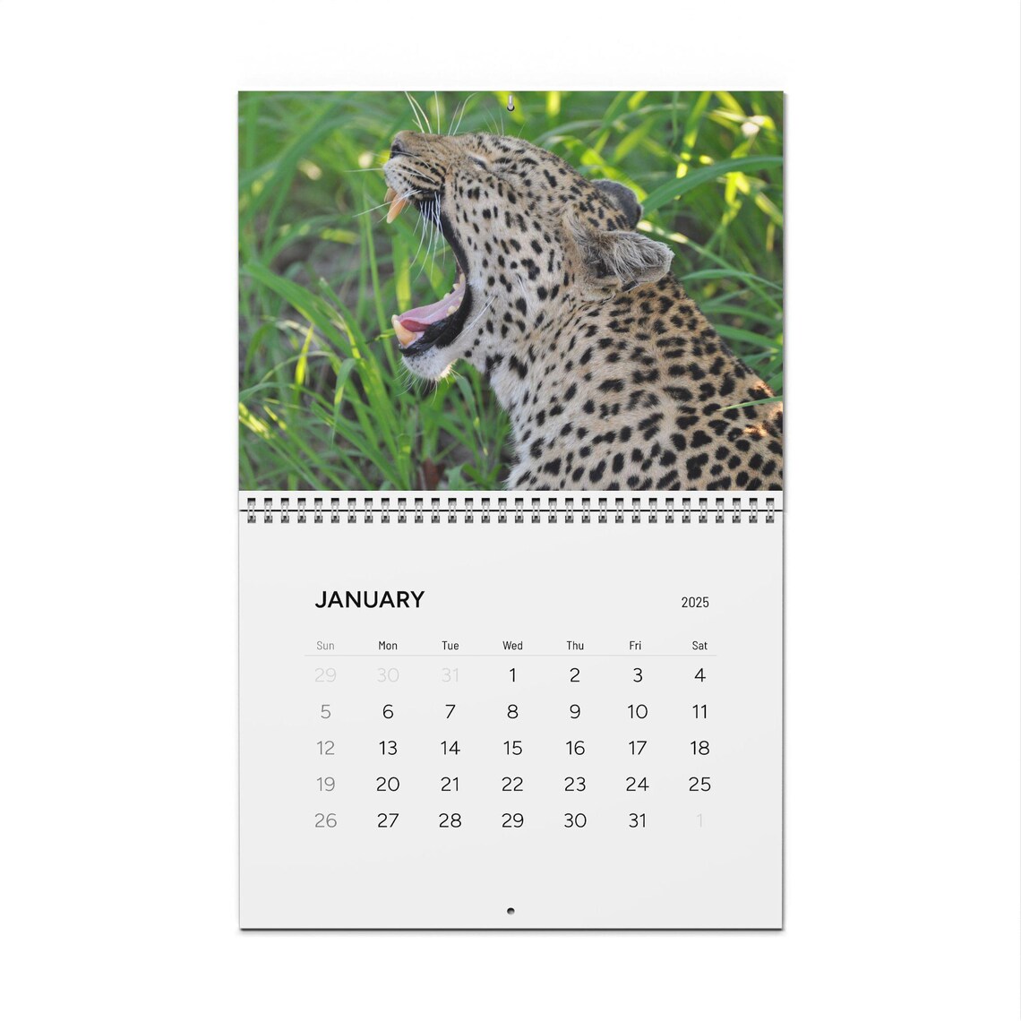 2025 Calendar, Wall Calendars, Nature Calendar, Wildlife Calendar ...