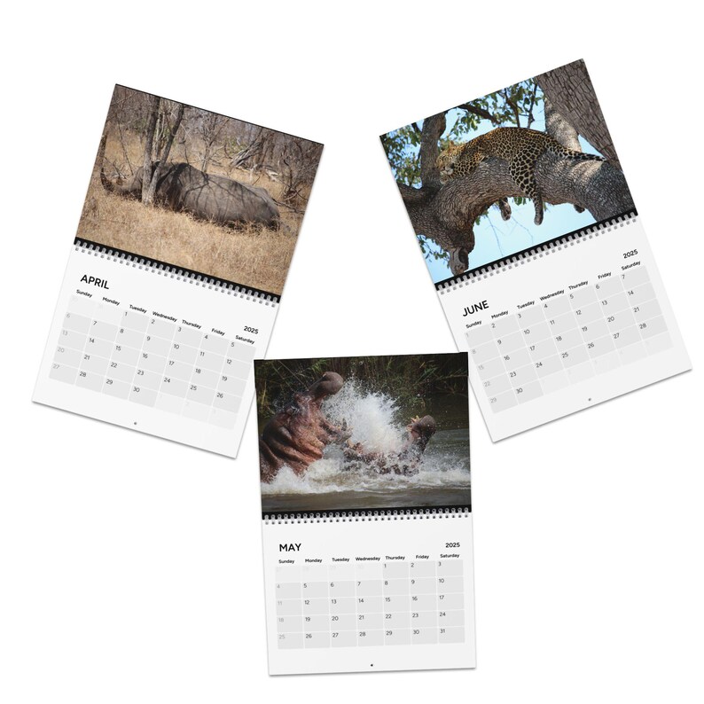 2025 Calendar, Wall Calendars, Nature Calendar, Wildlife Calendar ...