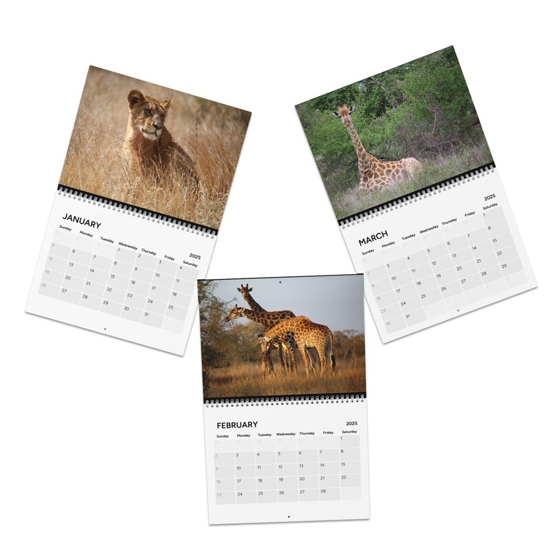 2025 Calendar, Wall Calendars, Nature Calendar, Wildlife Calendar ...