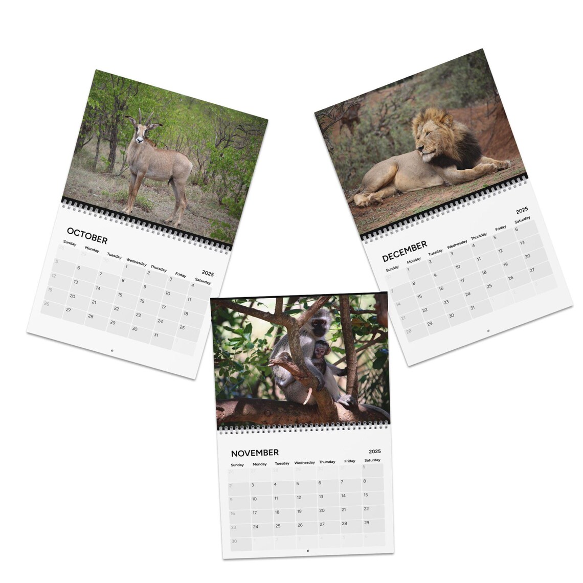 2025 Calendar, Wall Calendars, Nature Calendar, Wildlife Calendar ...