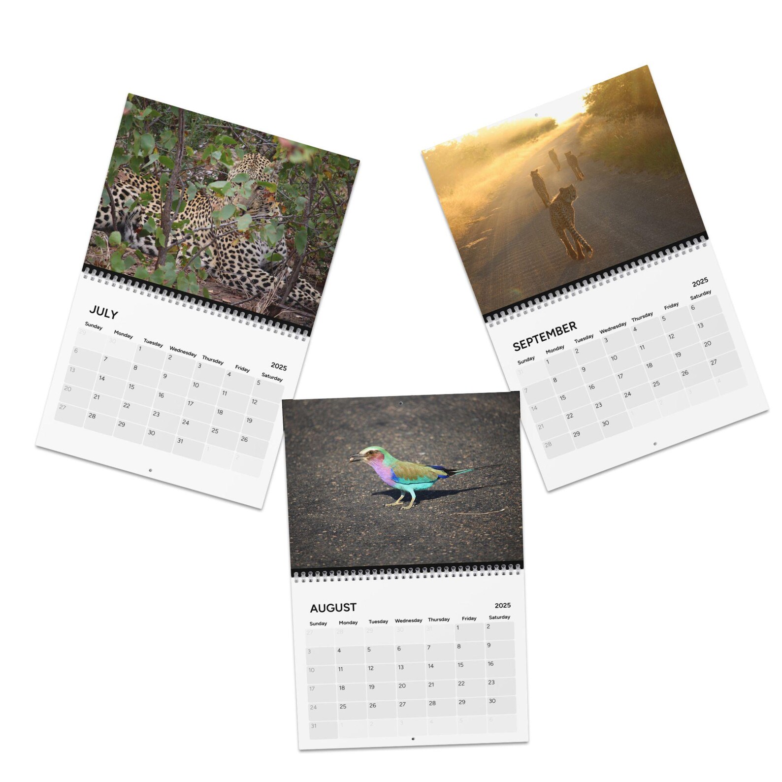 2025 Calendar, Wall Calendars, Nature Calendar, Wildlife Calendar ...