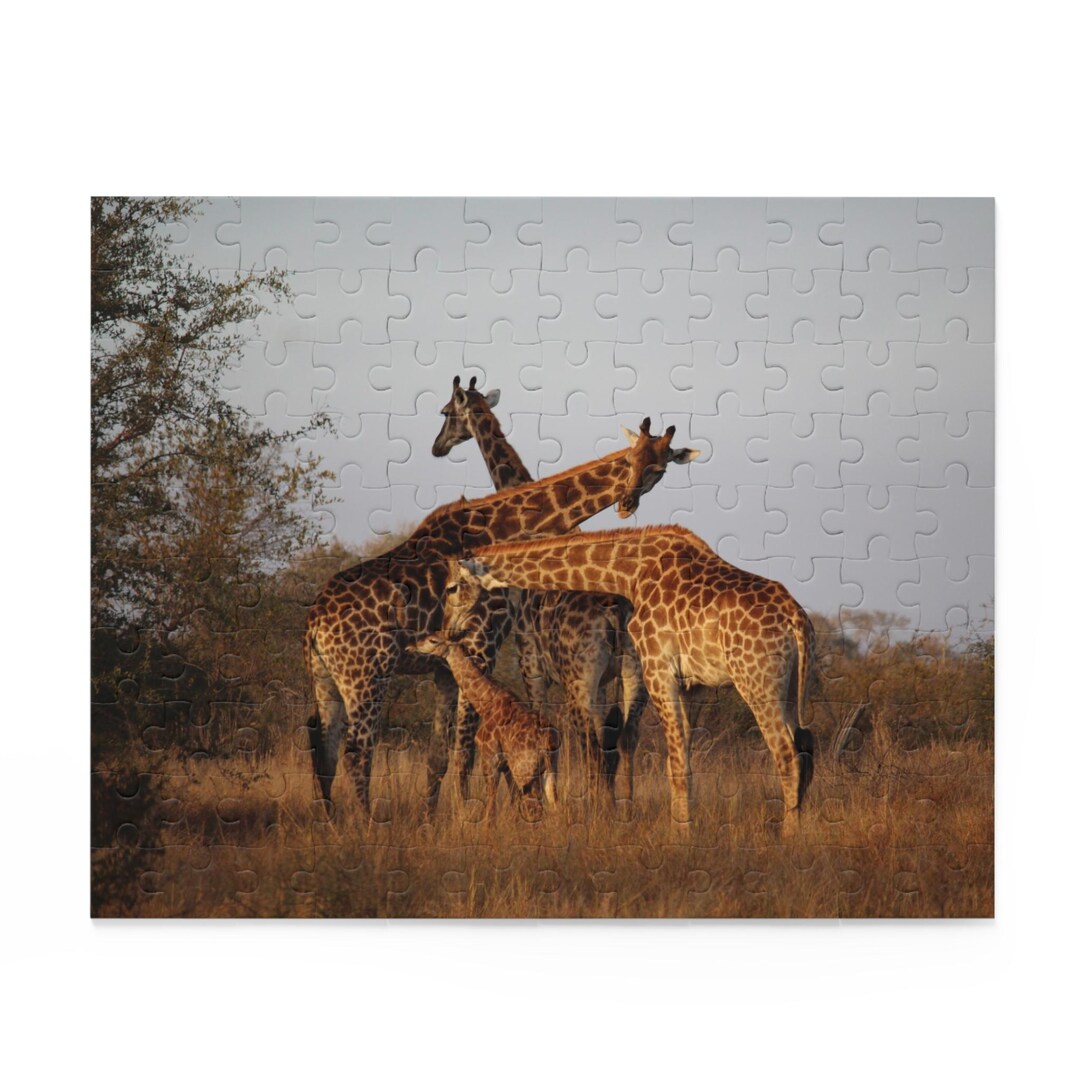 Jigsaw Puzzle, Family Game Night, Puzzles With Animals, Custom Puzzle ...