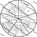 Bourbon Tasting Wheel Digital Download, Bourbon Tasting Note Wheel ...
