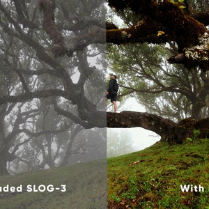 SONY S-LOG3 LUTS - Etsy