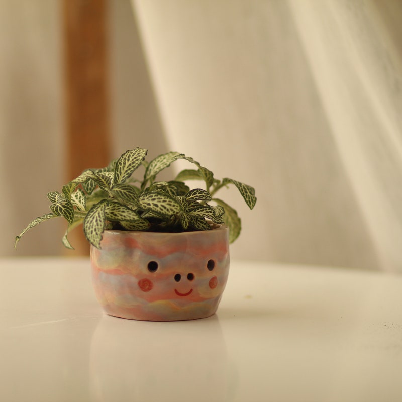 Cute Unique Plant Pots - Etsy