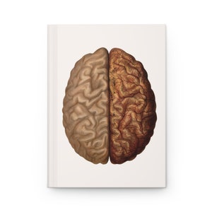 Vintage Anatomical Illustration Human Brain Notebook - Brain Journal ...