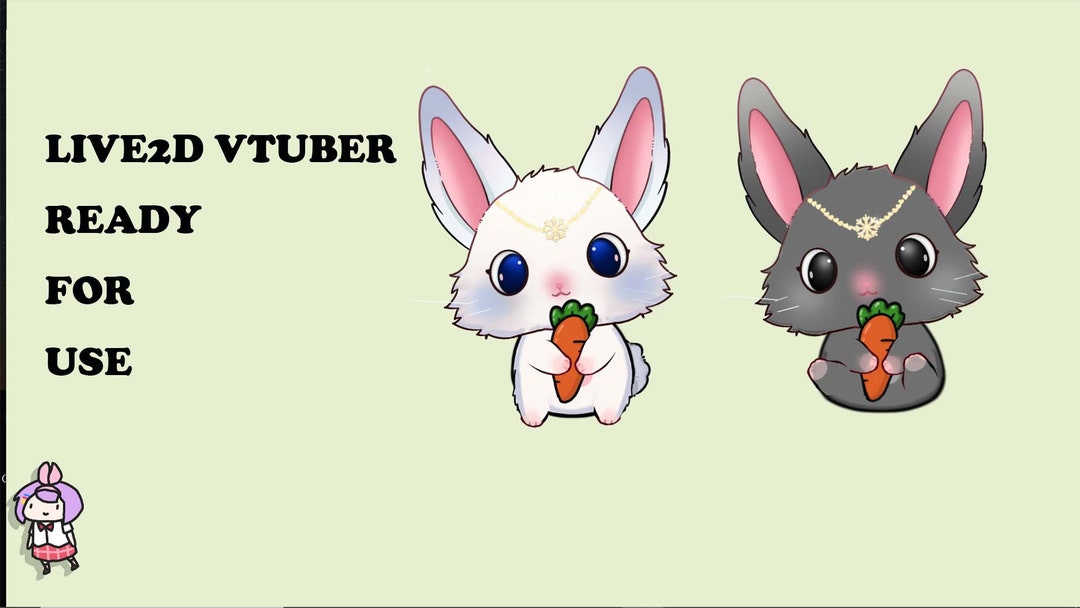 Customized Vtuber - Bunny Vtuber Model - Fully Body/fully Rigged Live2d ...