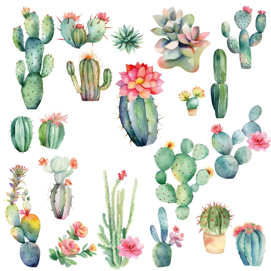 20 CACTUS Watercolor CLIPART, Digital Download, Printable, PNG, Instant ...