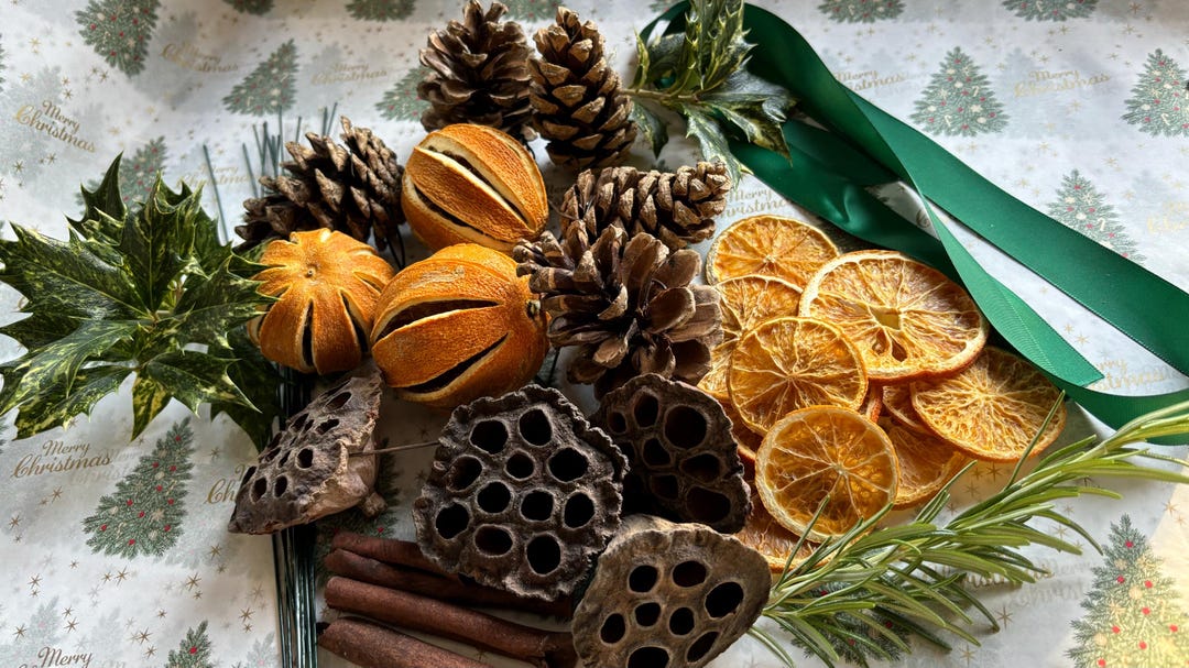 Dried Wreath Making Adornments, Orange Slices, Lotus Heads, Pine Cones ...