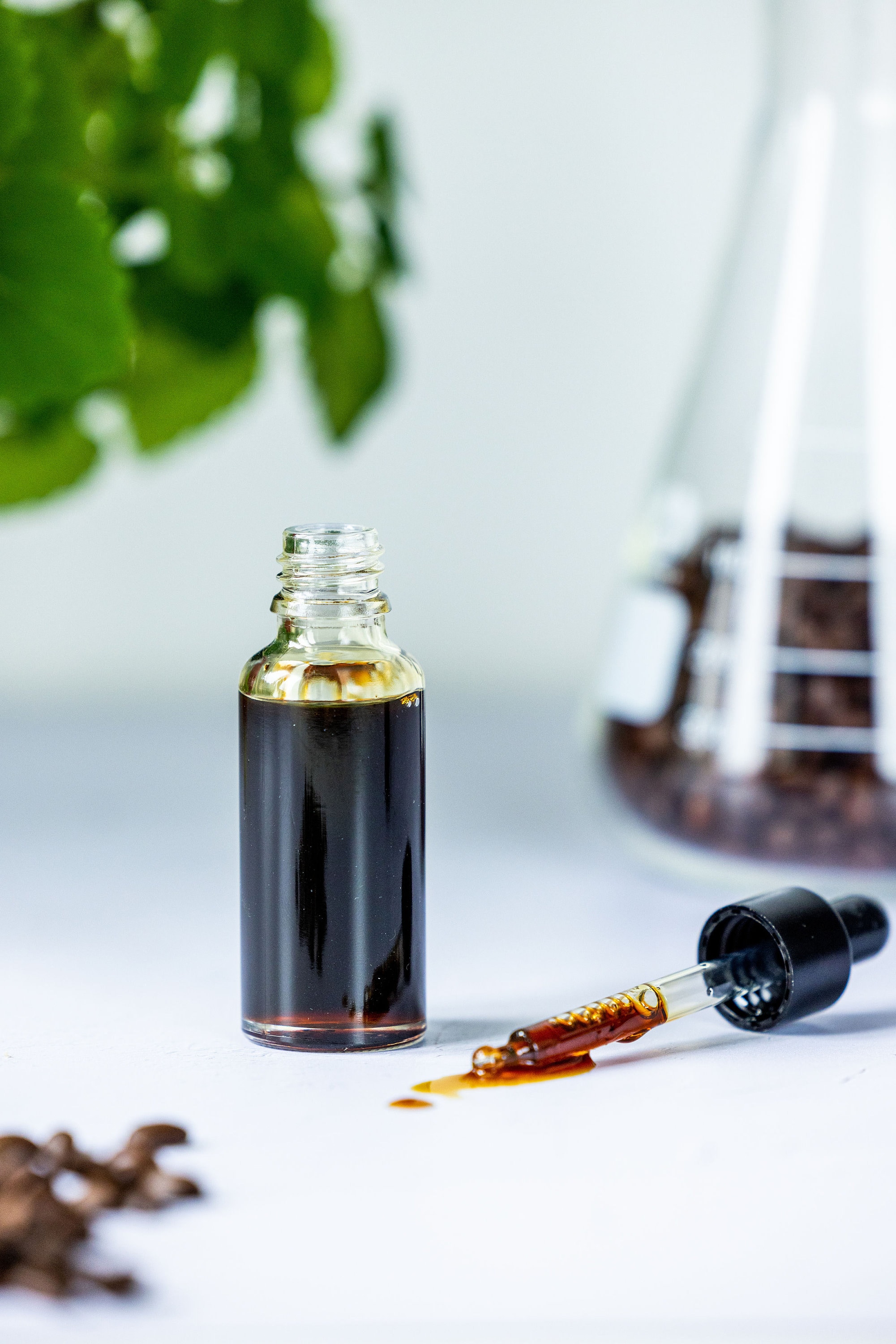 COFFEE ESSENTIAL OIL - 100% Pure Arabica Espresso Coffee Oil, Coffee ...