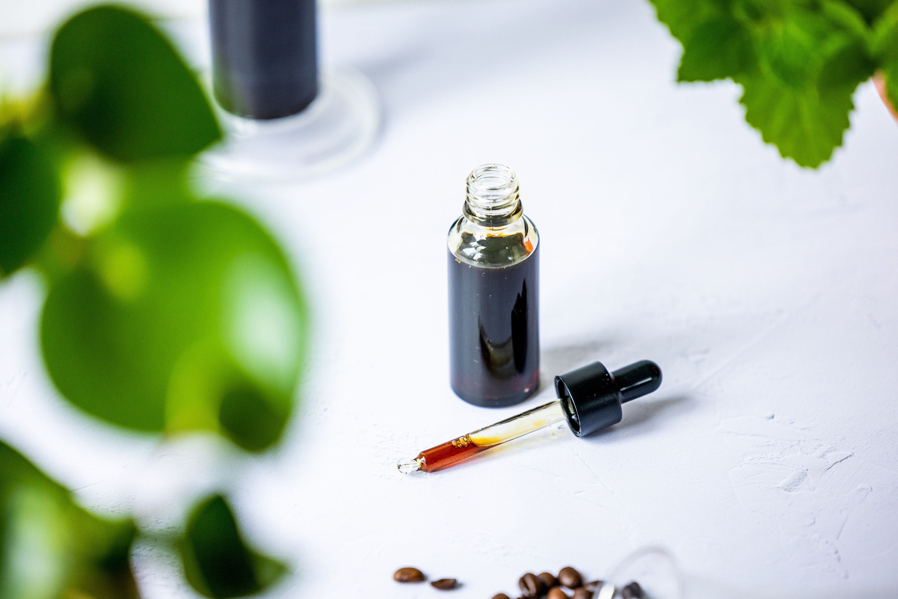 COFFEE ESSENTIAL OIL - 100% Pure Arabica Espresso Coffee Oil, Coffee ...