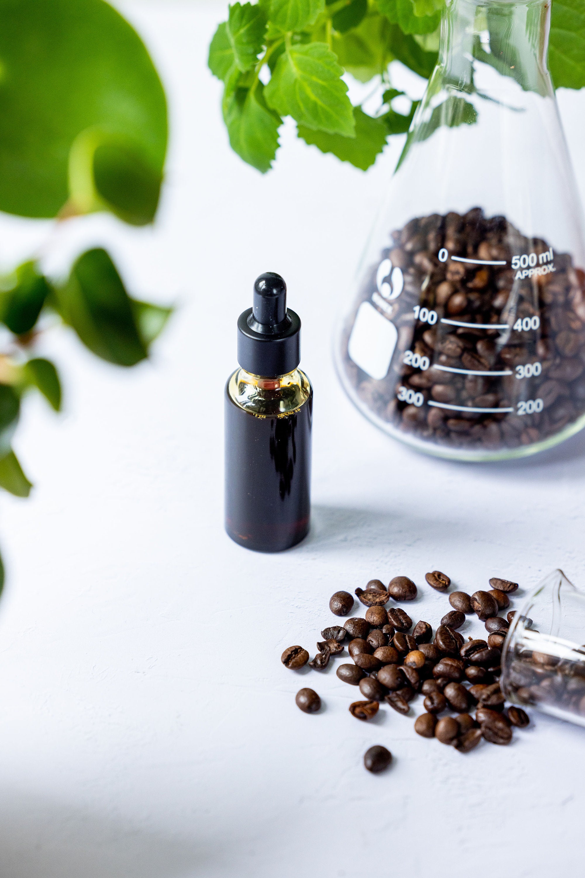 COFFEE ESSENTIAL OIL - 100% Pure Arabica Espresso Coffee Oil, Coffee ...