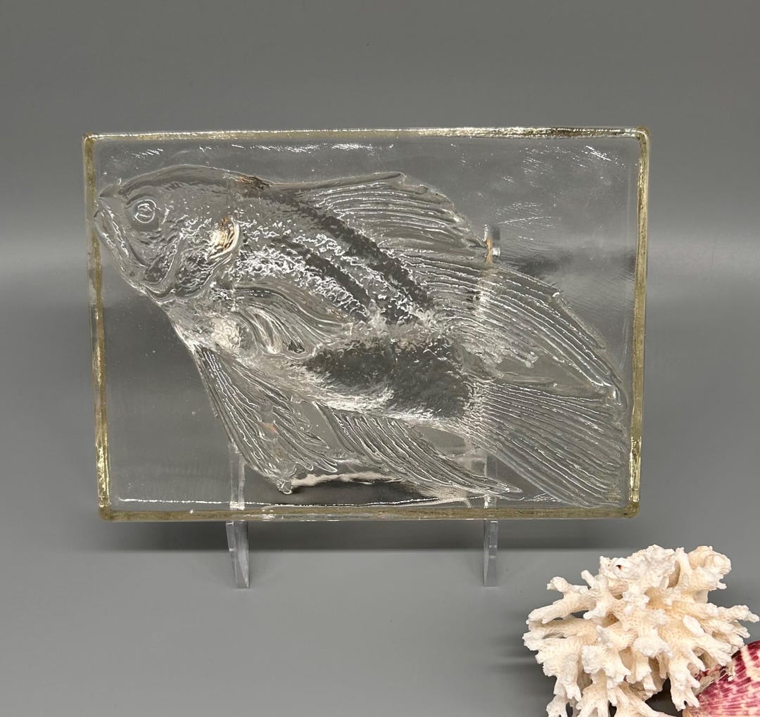 Vintage Rectangular Glass Block Fish/display Piece - Textured Glass Art ...